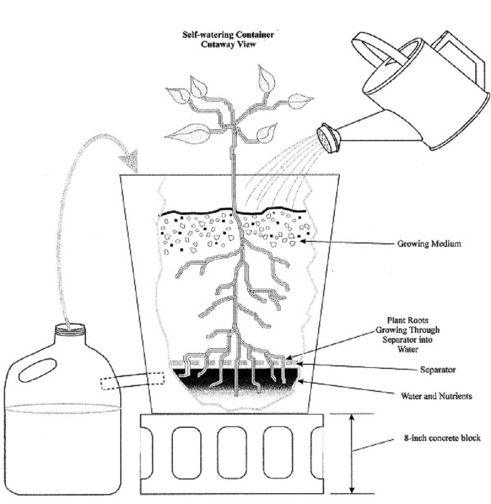 Self-Watering Containers | University of Maryland Extension