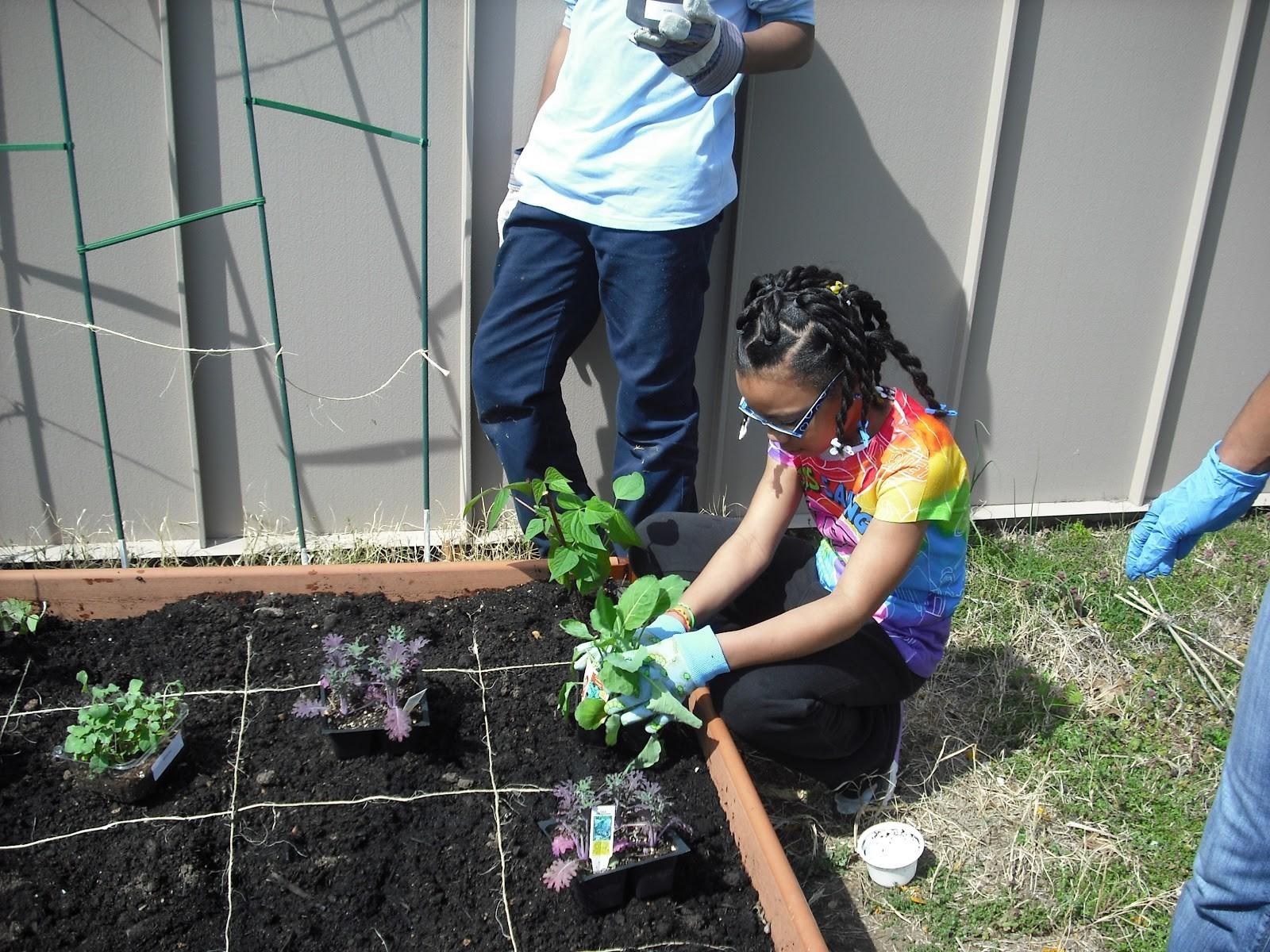 Food Safety in Your School Gardens, Classrooms, and Greenhouses (FS ...