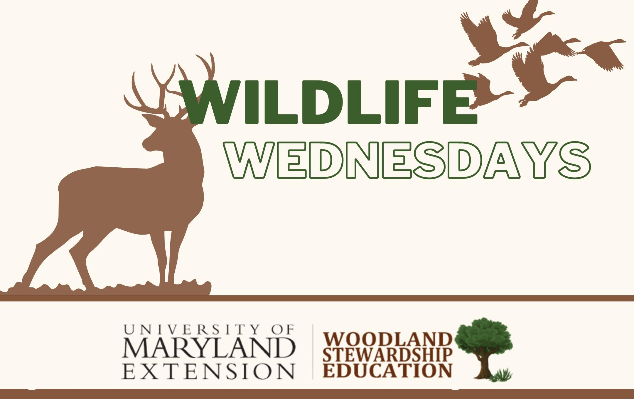 Woodland Stewardship Education | University of Maryland Extension
