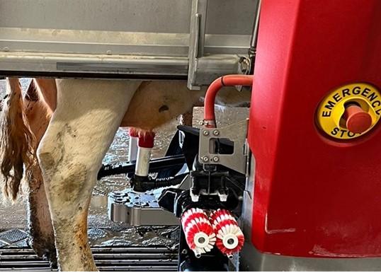 Robotic Milking System | University of Maryland Extension