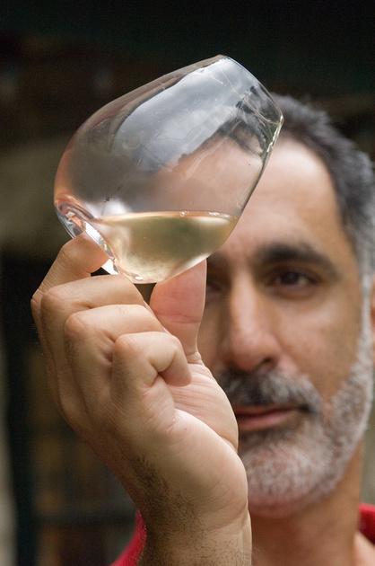 Grapes and Fruit | University of Maryland Extension