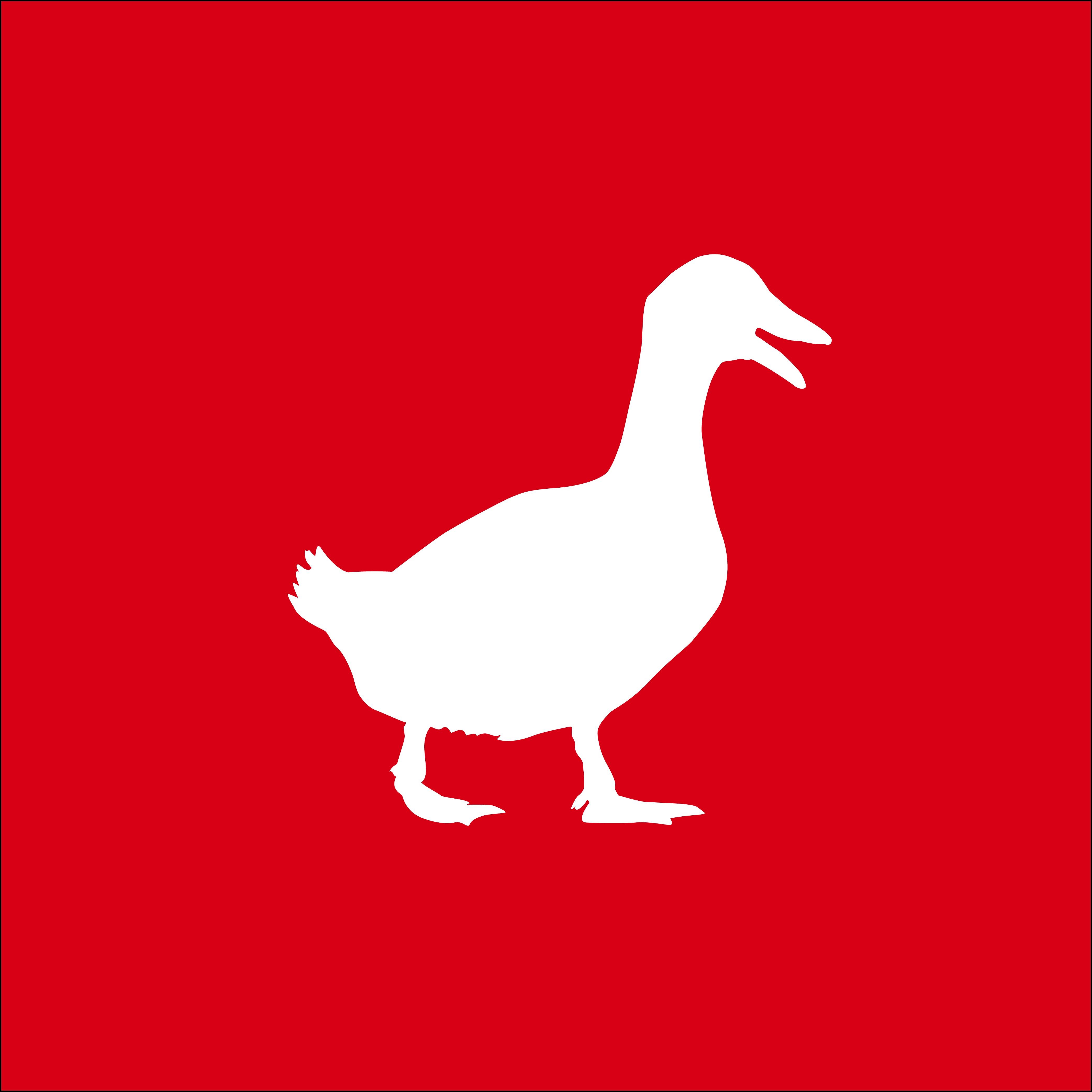 Duck | University of Maryland Extension
