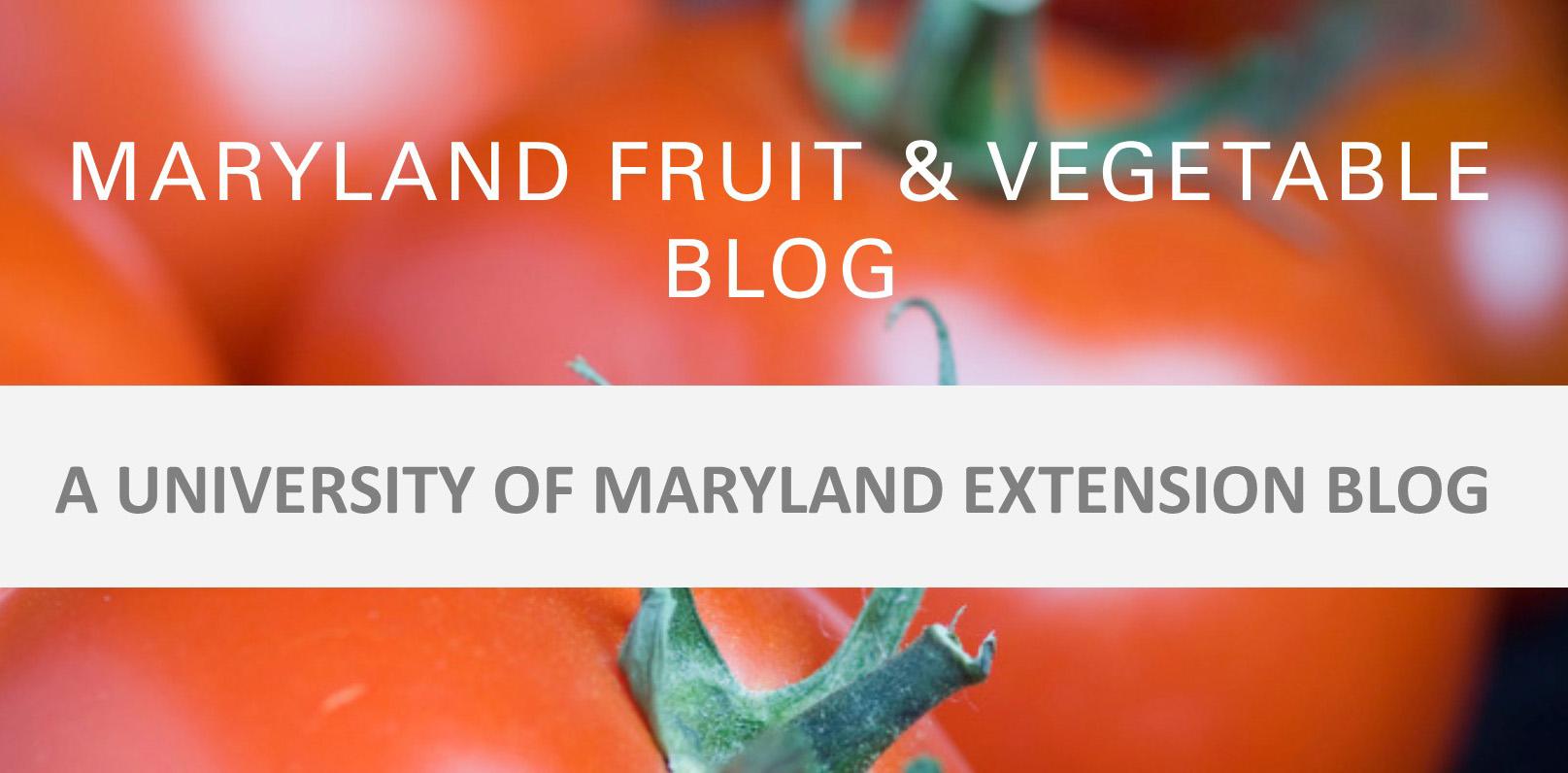 Vegetable and Fruit News-July 2021 | University of Maryland Extension