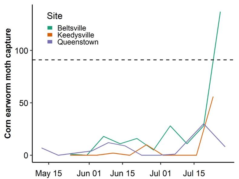 Corn Earworm Trap Captures Up, and New Web Page for Updates ...