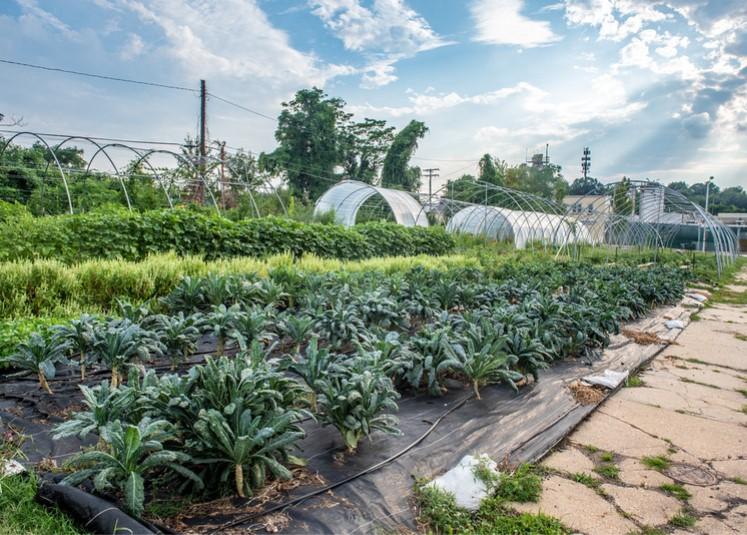 First Steps to Farming | University of Maryland Extension