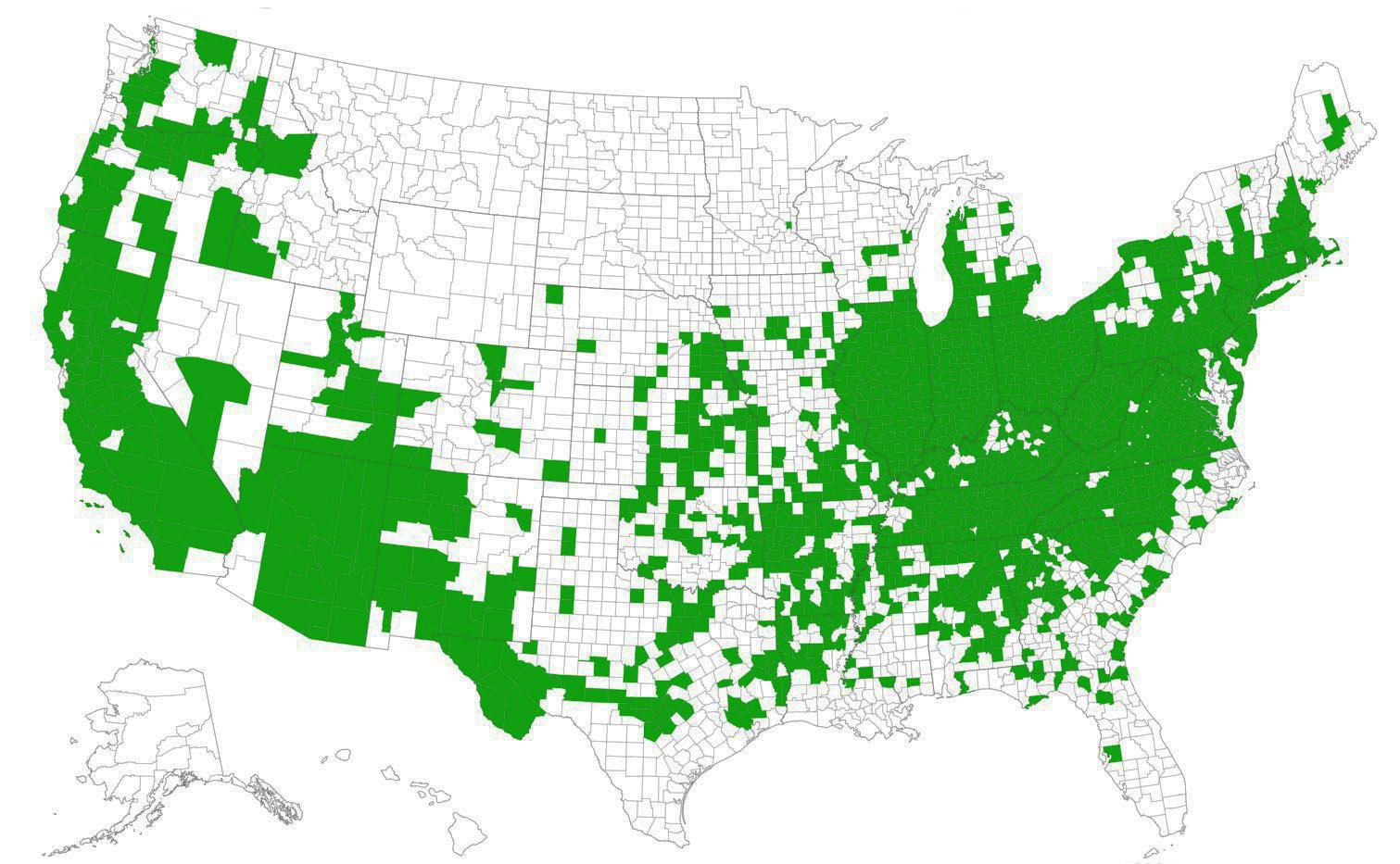 Invasives in Your Woodland: Tree-of-Heaven (Ailanthus) | University of ...