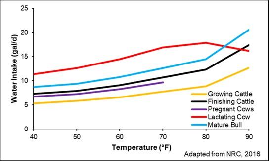 Water: The Forgotten Nutrient | University of Maryland Extension