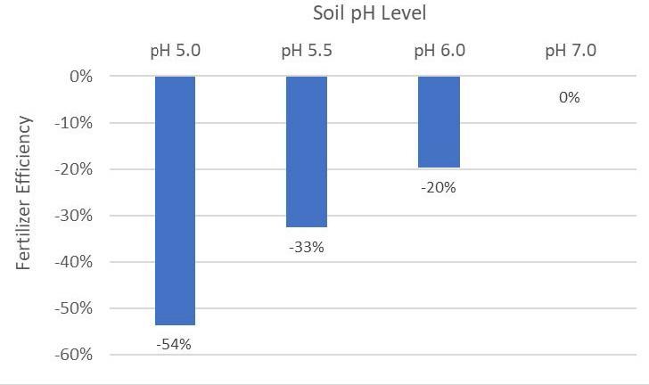 Managing Soil Fertility in Times of High Prices | University of ...