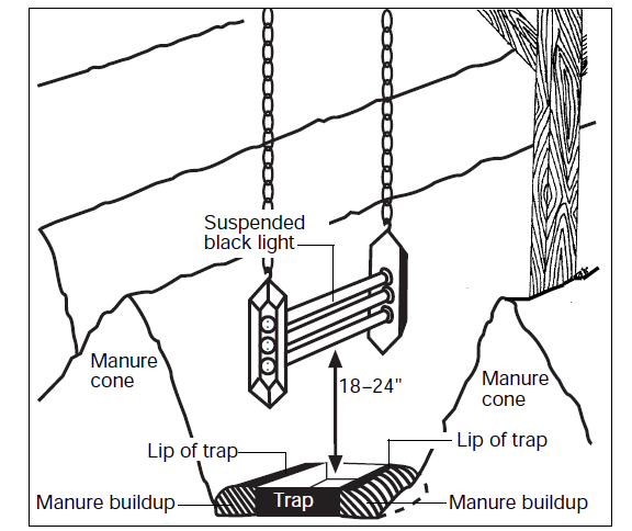 Pest Management Recommendations for Poultry - Cornell/PSU Extensions ...