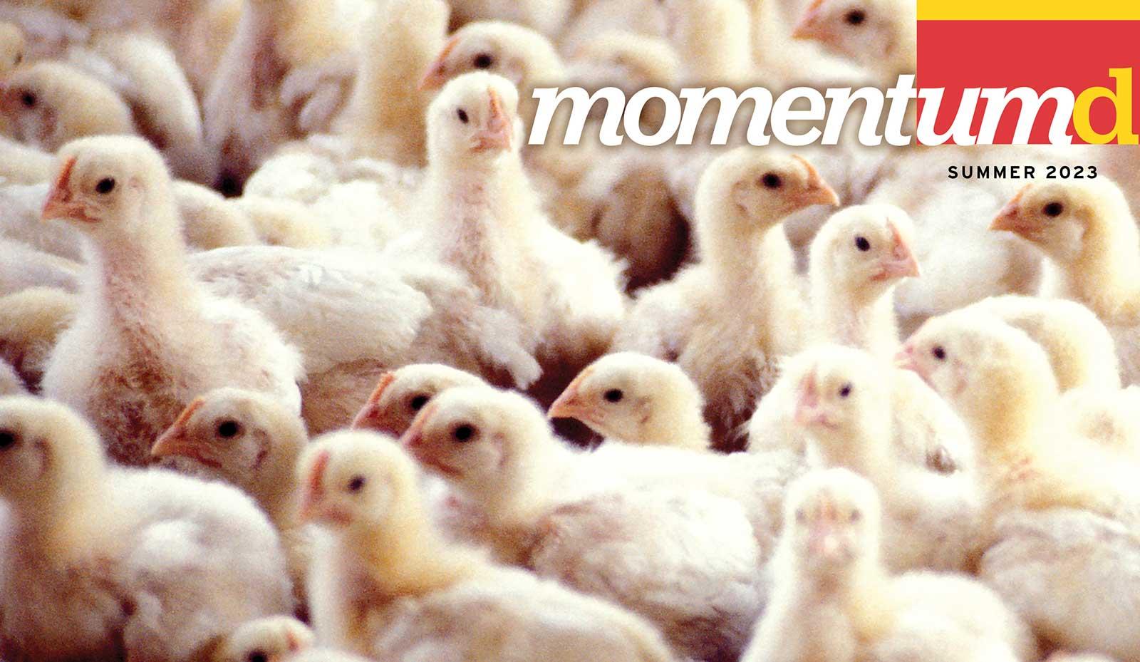 Momentum Magazine, Summer 2023 | University of Maryland Extension