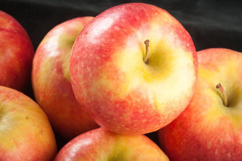 Harvest and Postharvest Practices for Improving Apple Fruit ...