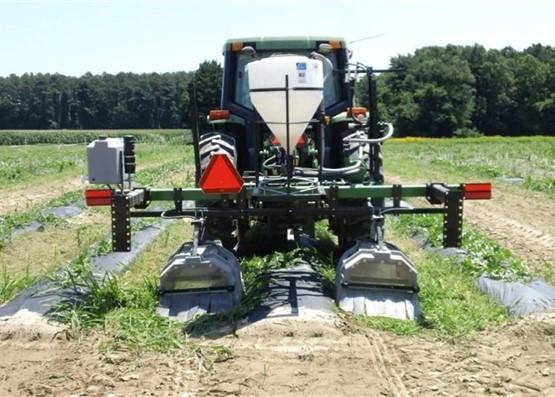 Using Spring-Seeded Cover Crops to Complement Weed Management in ...