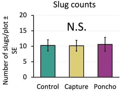 Optimizing Early Season Pest Management for Maryland Field Corn ...