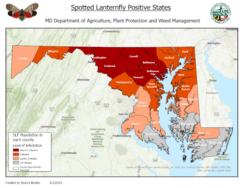 Spotted Lanternfly in Home Gardens | University of Maryland Extension