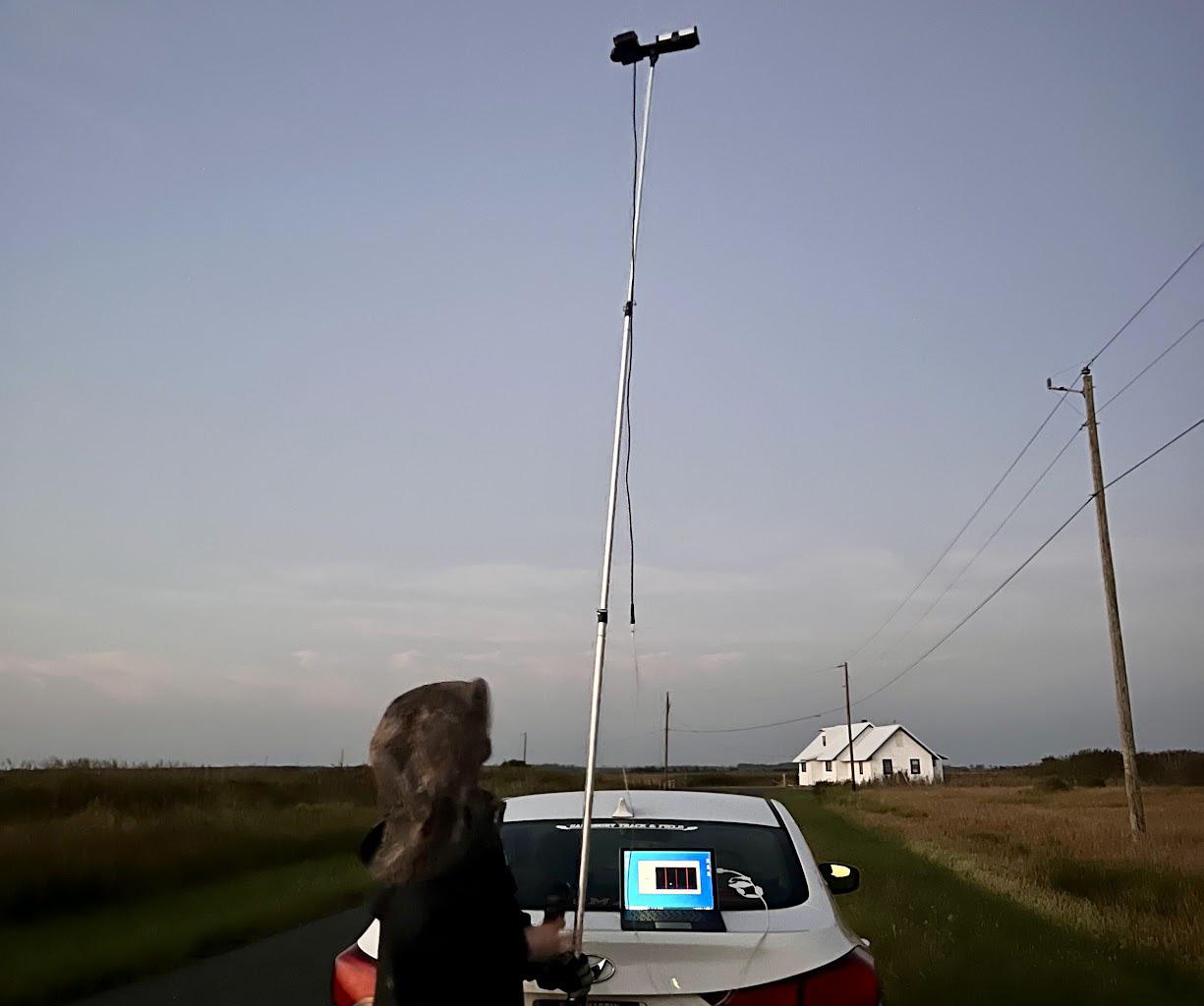 The Importance of Tidal Marshes to Bat Foraging Habitat and Diversity ...