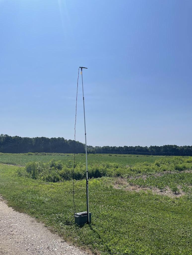 The Importance of Tidal Marshes to Bat Foraging Habitat and Diversity ...