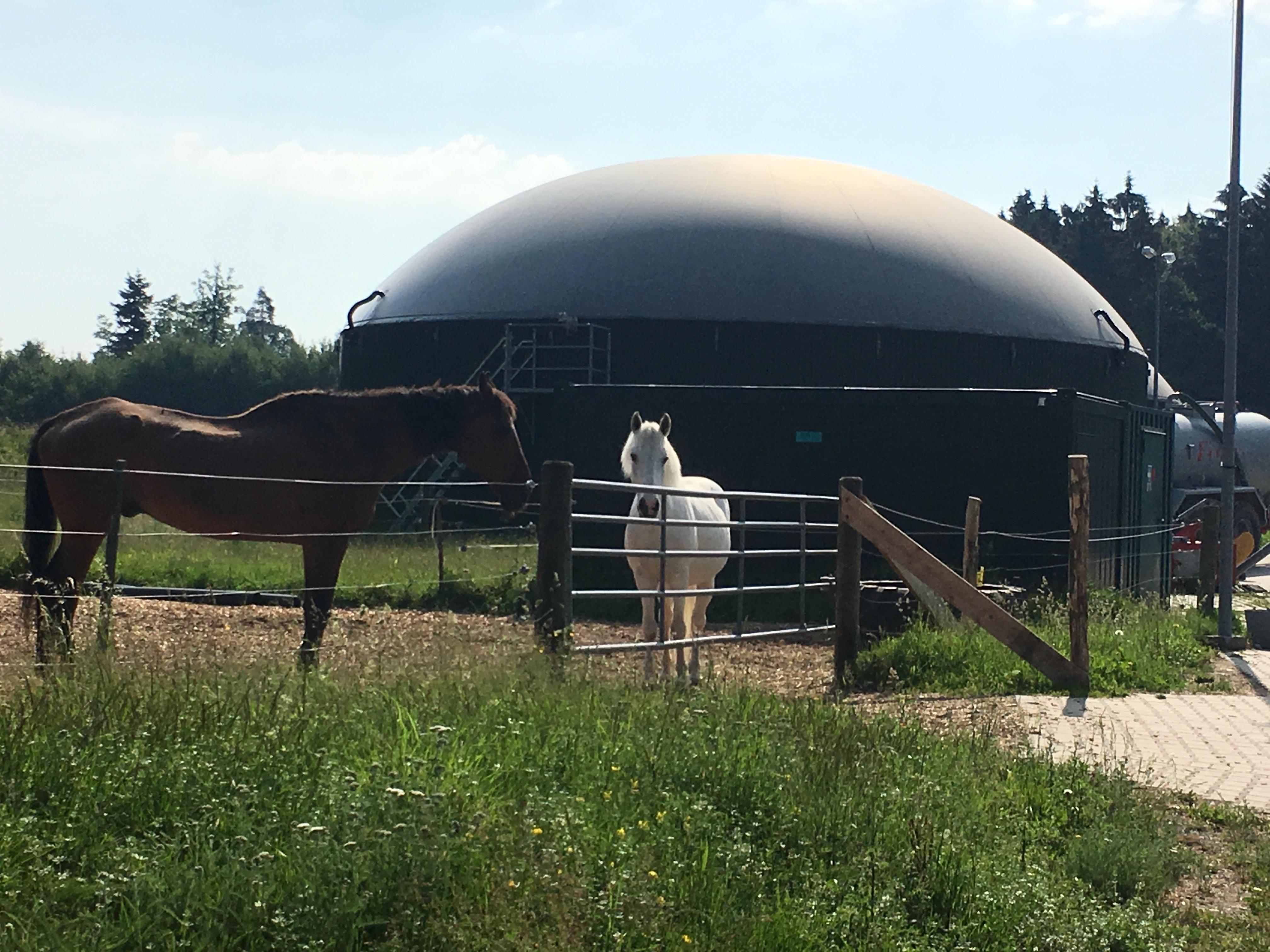Anaerobic Digestion Overview | University of Maryland Extension